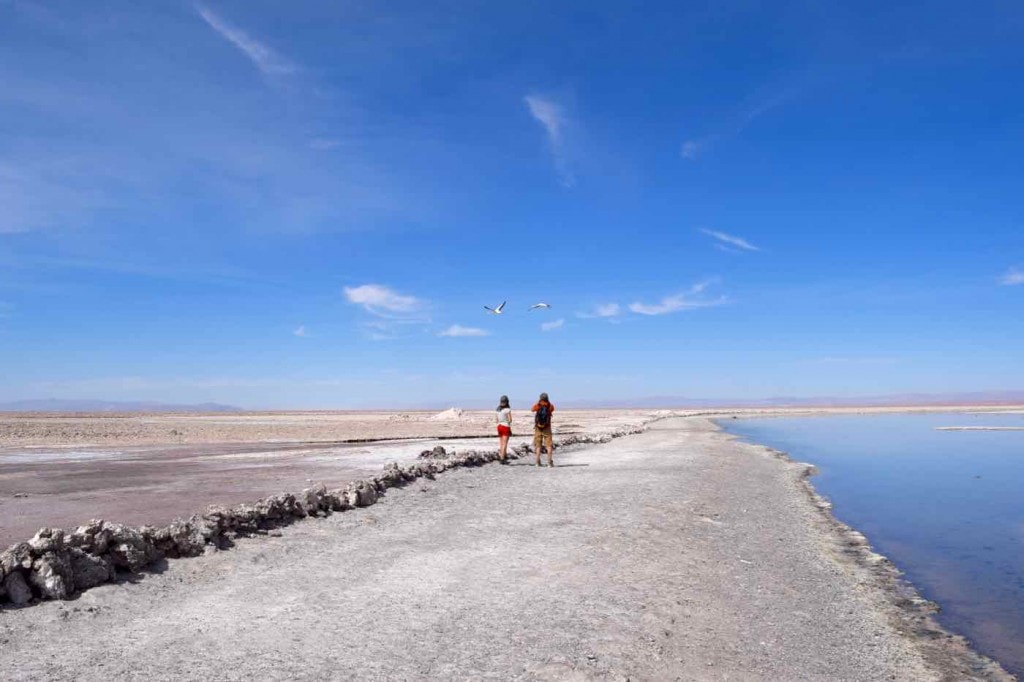 A Tour Of Atacama’s Salt Flats And Altiplanic Lagoons, Chile: 2024 Guide