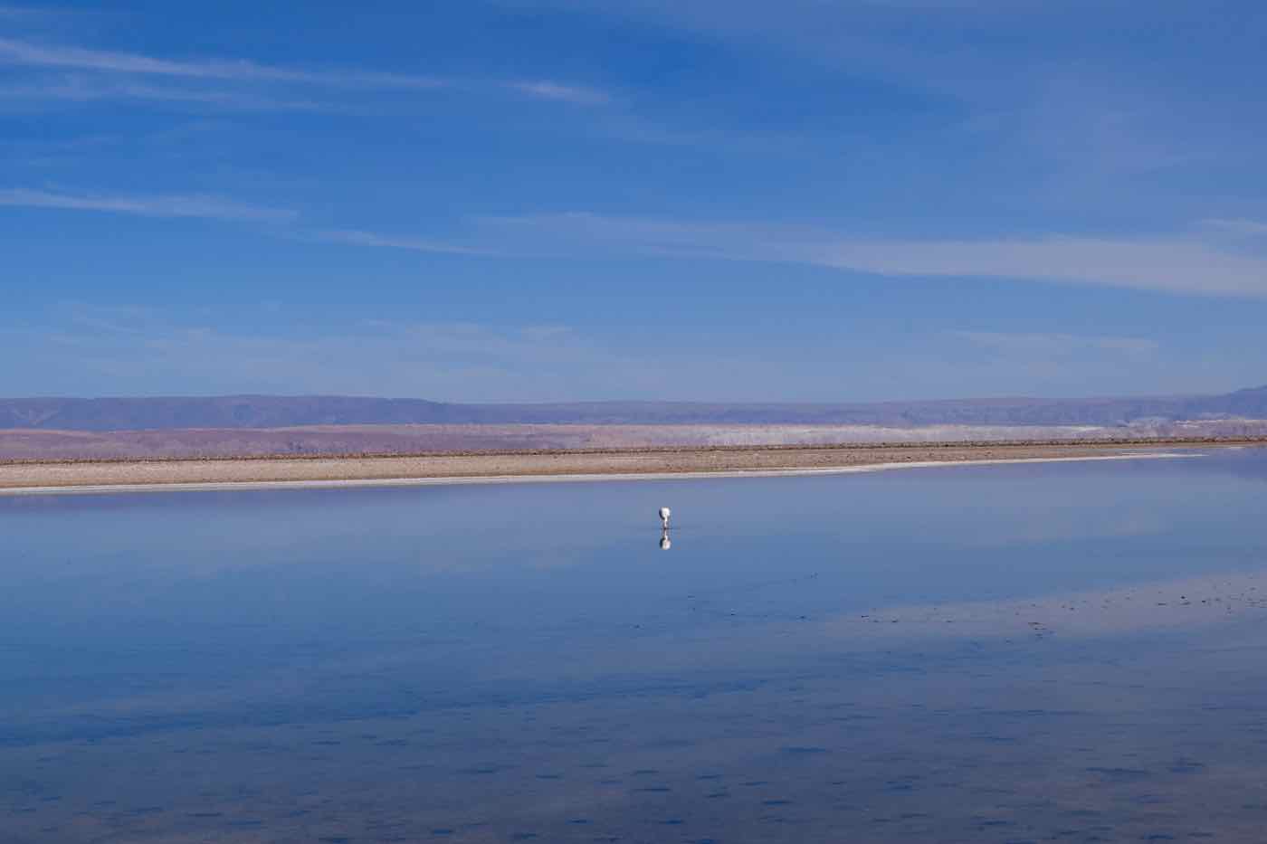 A Tour Of Atacama’s Salt Flats And Altiplanic Lagoons, Chile: 2024 Guide