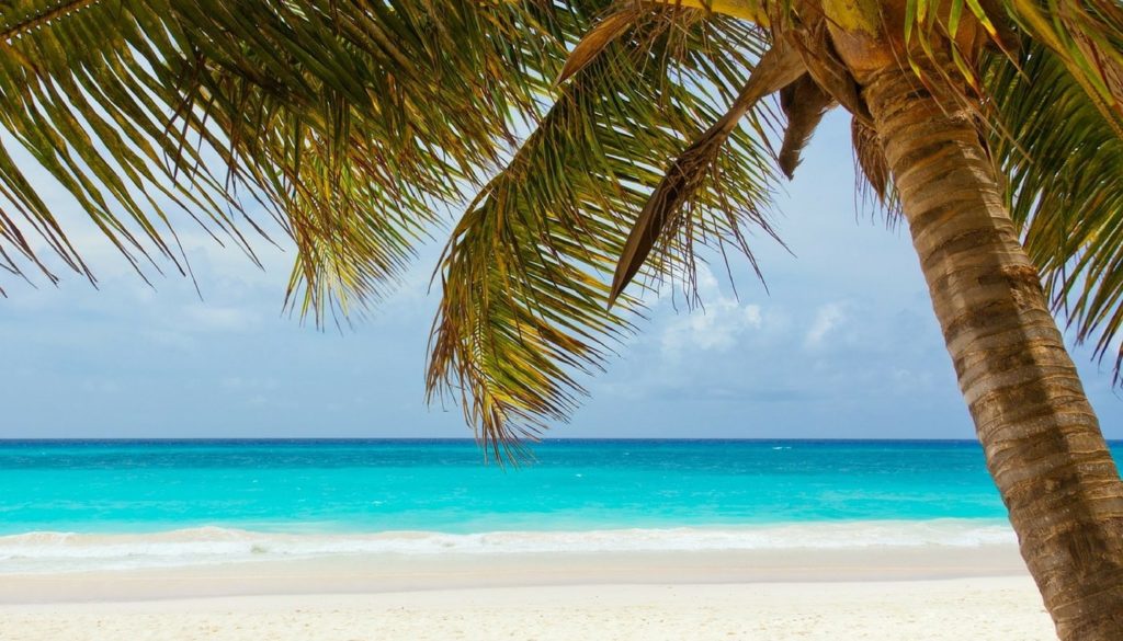 Reasons To Visit Playa Del Carmen, Mexico: 2024 Guide