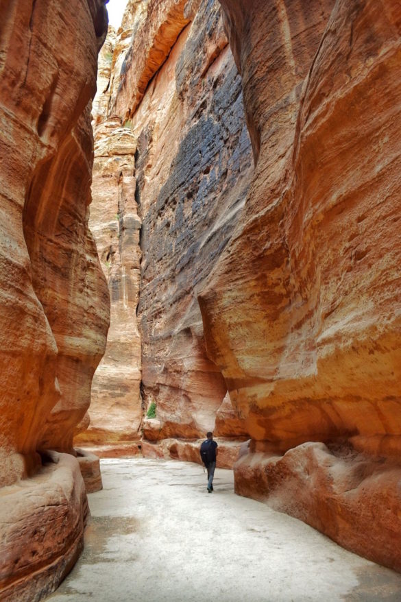 Petra Tour Review: Visiting The Ancient City Of Petra, Jordan (2019 Guide)