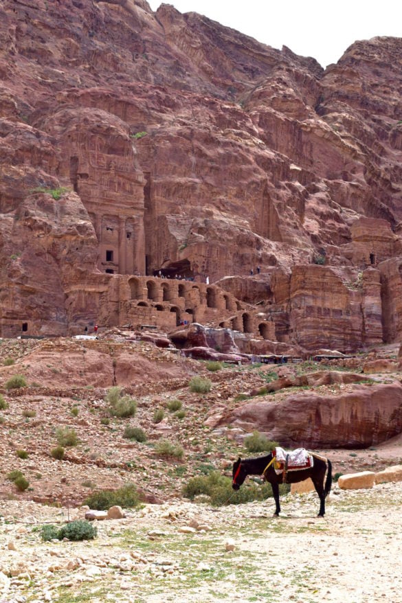 Discover Petra's Hidden Treasures: 21 Facts That Will Surprise You