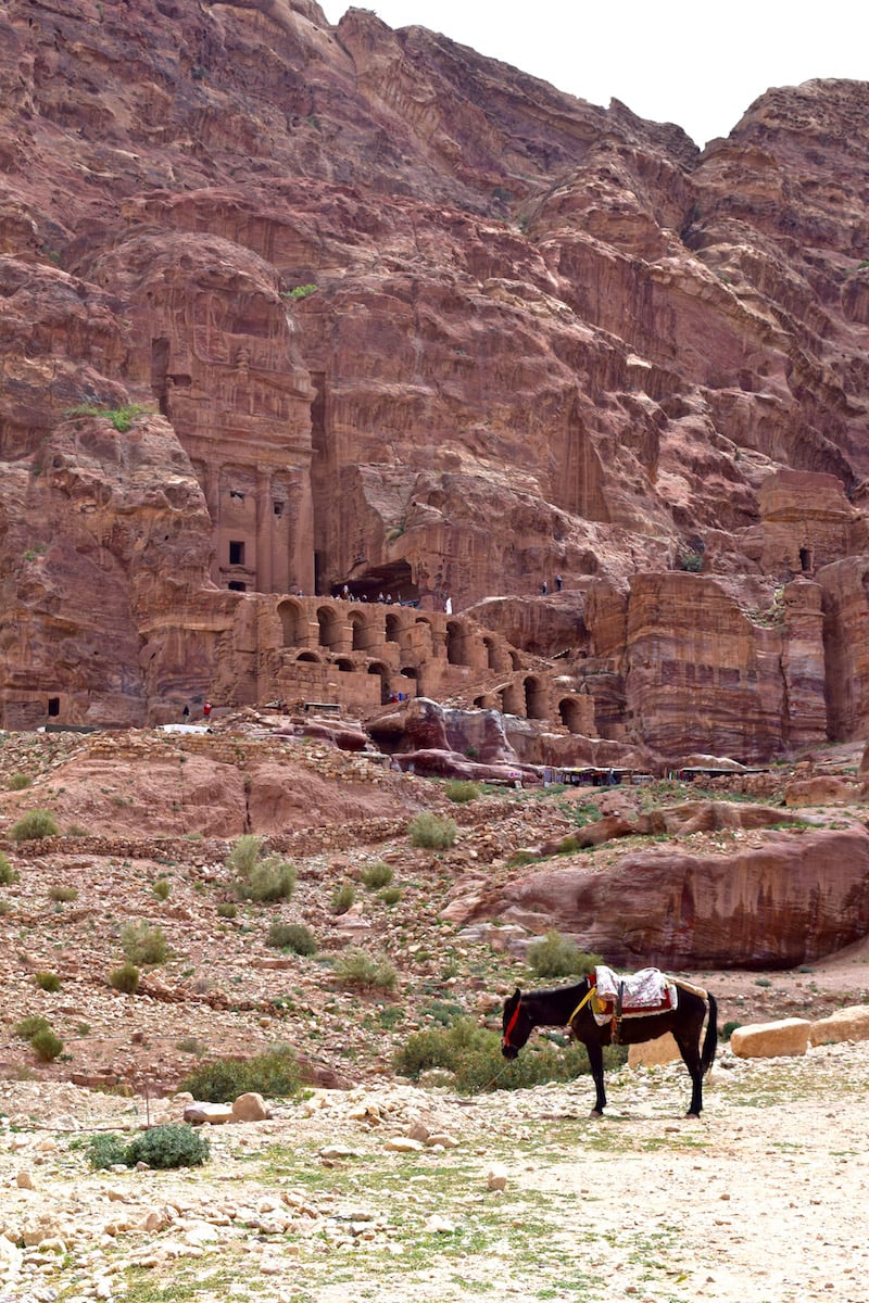 Discover Petra's Hidden Treasures: 21 Facts That Will Surprise You