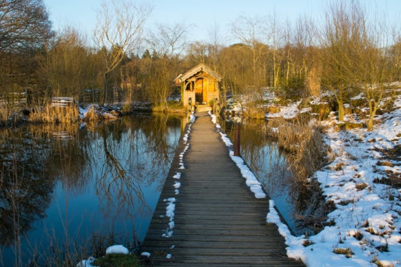 A Foodie Weekend In The New Forest - England’s Magical Secret: 2026 Guide