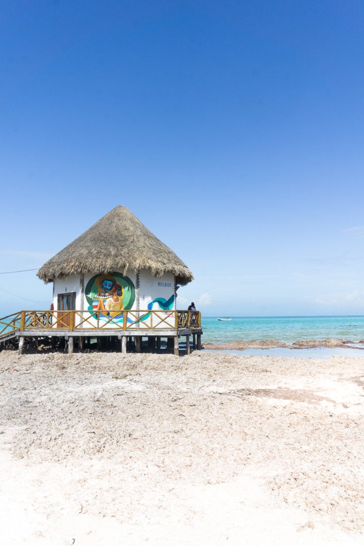 Read This Before Visiting Isla Holbox, Mexico: Ultimate Travel Guide 2025