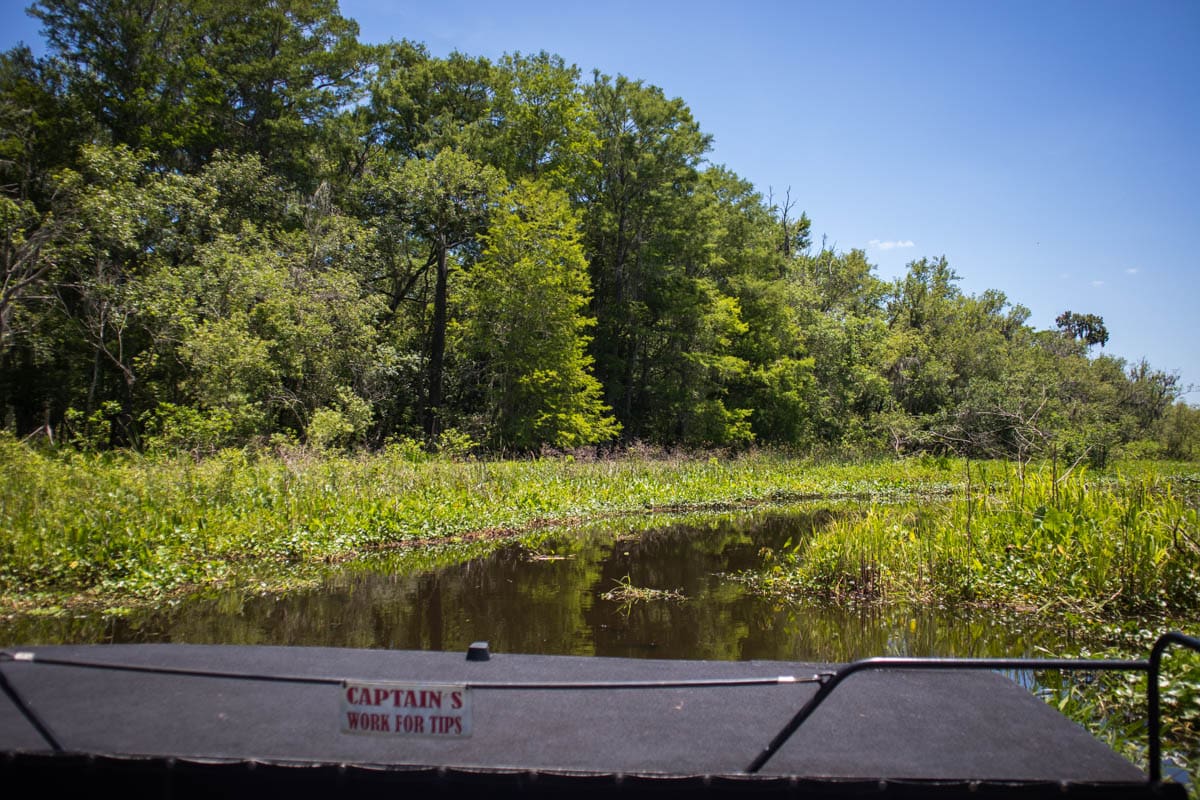 Crystal River and Pasco County, Florida: A 3-Day Travel Guide