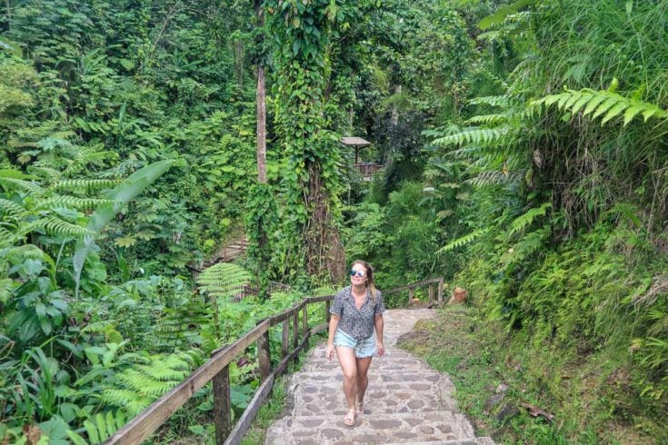 17 Things To Know Before Visiting Dominica: 2025 Guide