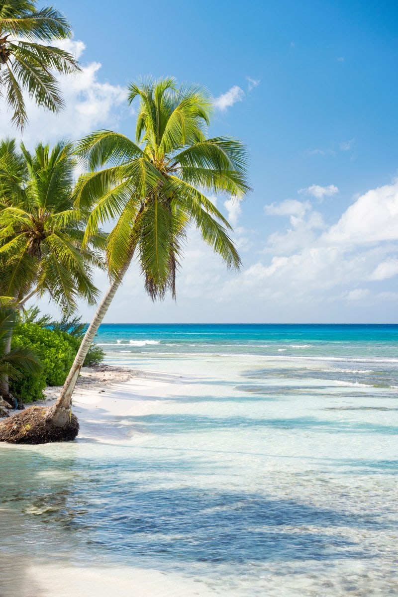 15 Best Excursions In Punta Cana, Dominican Republic For 2025