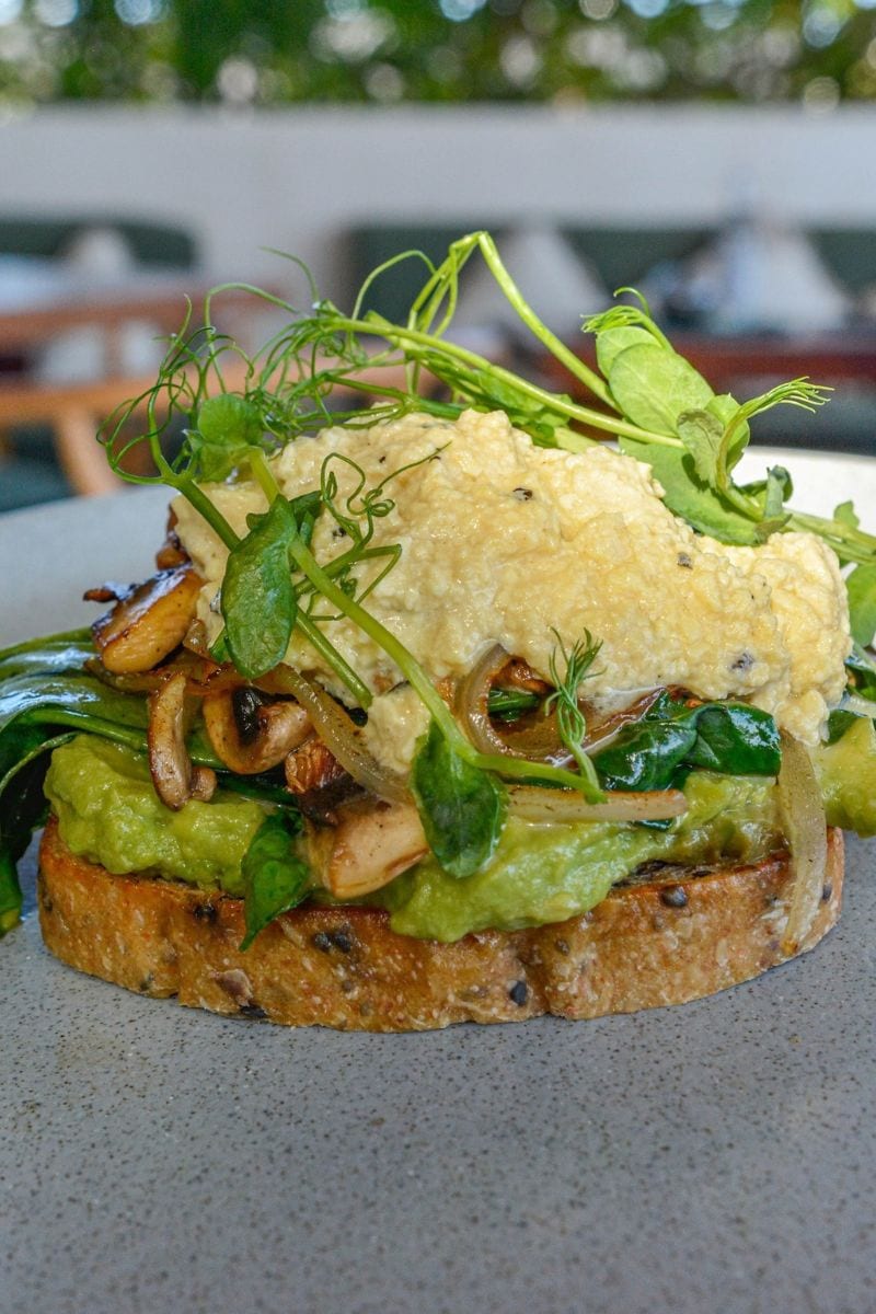 17 Best Breakfasts in Tulum, Mexico: 2024 Guide