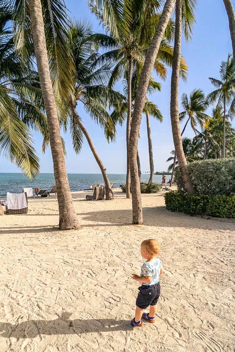 Visiting The Florida Keys With Kids: Tips & Top Things To Do: 2025