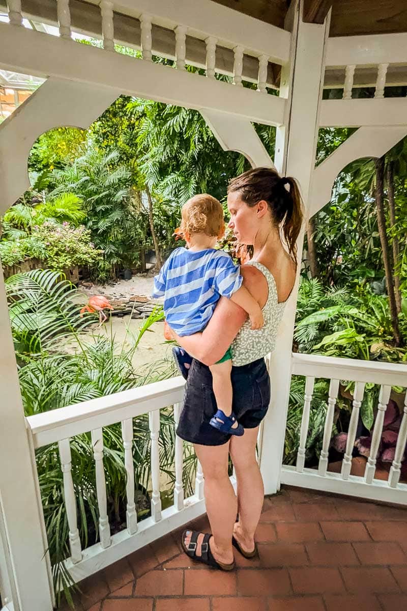 Visiting The Florida Keys With Kids: Tips & Top Things To Do: 2025