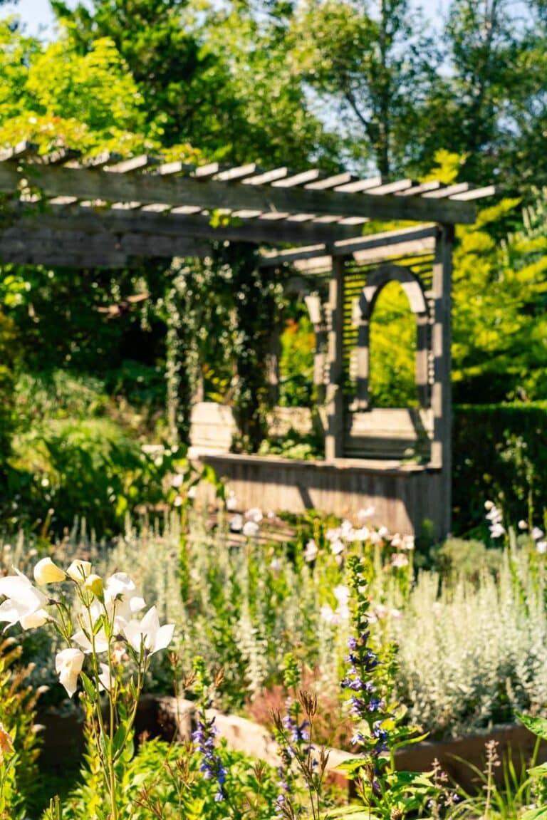 7-Day Nova Scotia Road Trip Itinerary - Food, Hotels + Tips: 2024